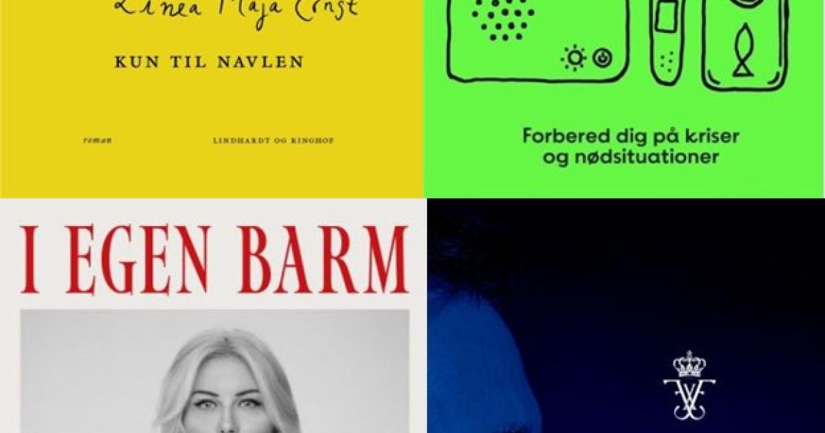 2024 - Året i bøger | bib.ballerup